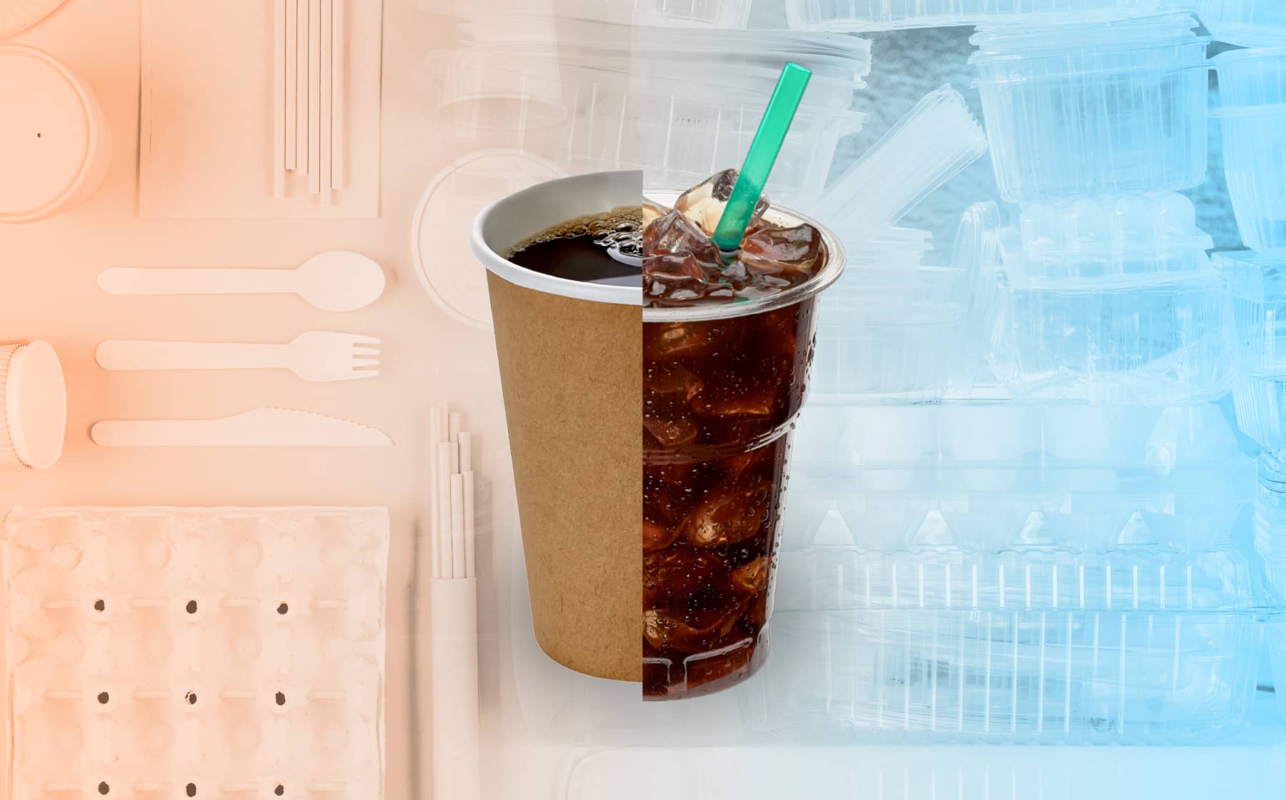 Can Replacing Plastic with Paper Solve Environmental Problems ...